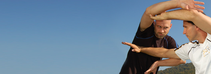 Wing Tsun, Yip Man, Leung Ting, Kernspecht